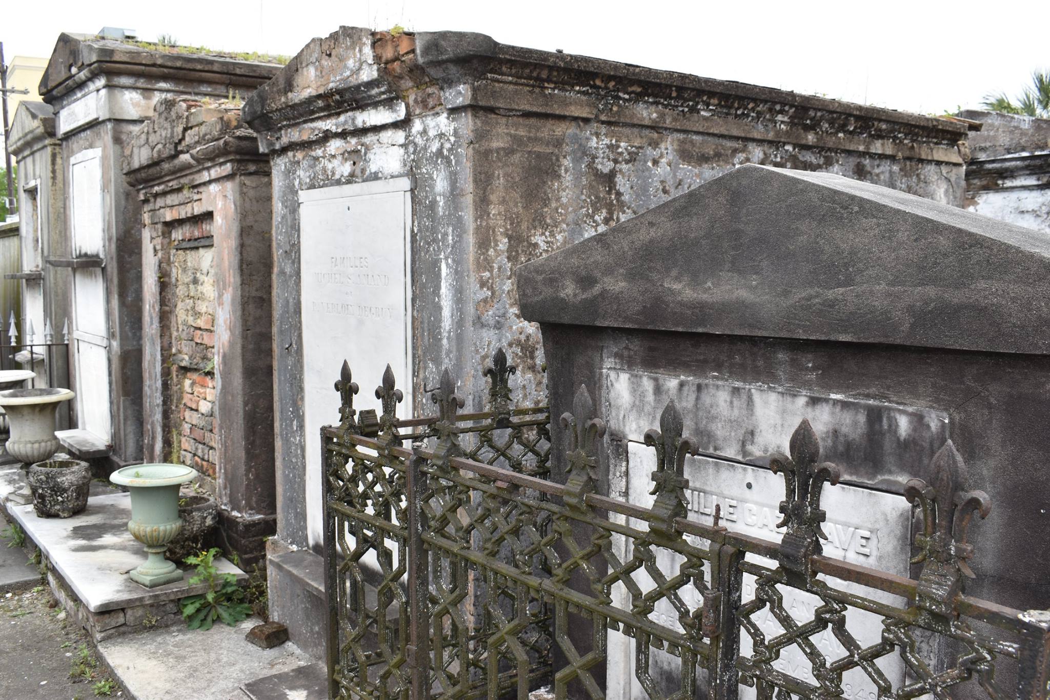 Gallery – Wandering Ottersons