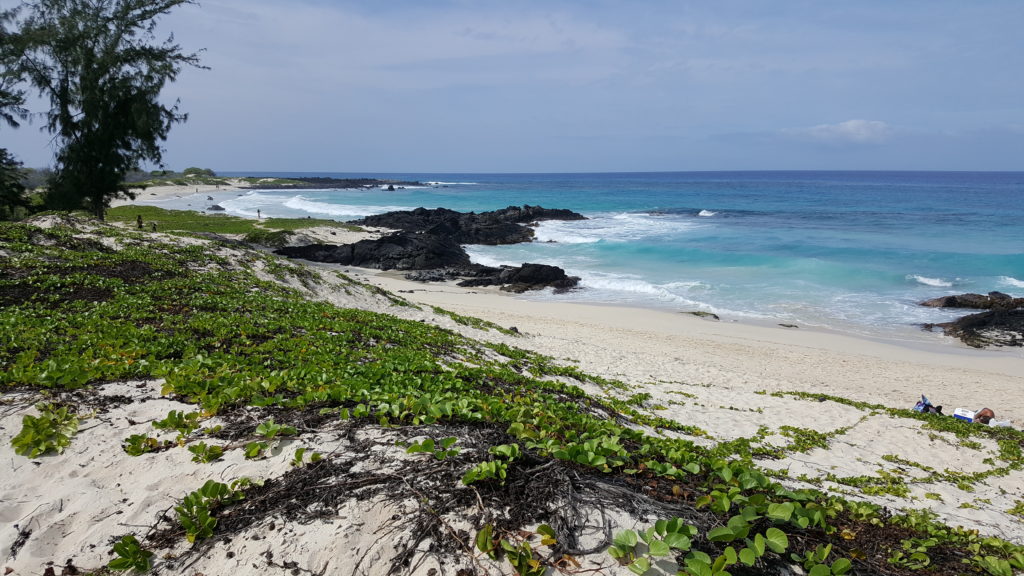 Hawaii – Wandering Ottersons