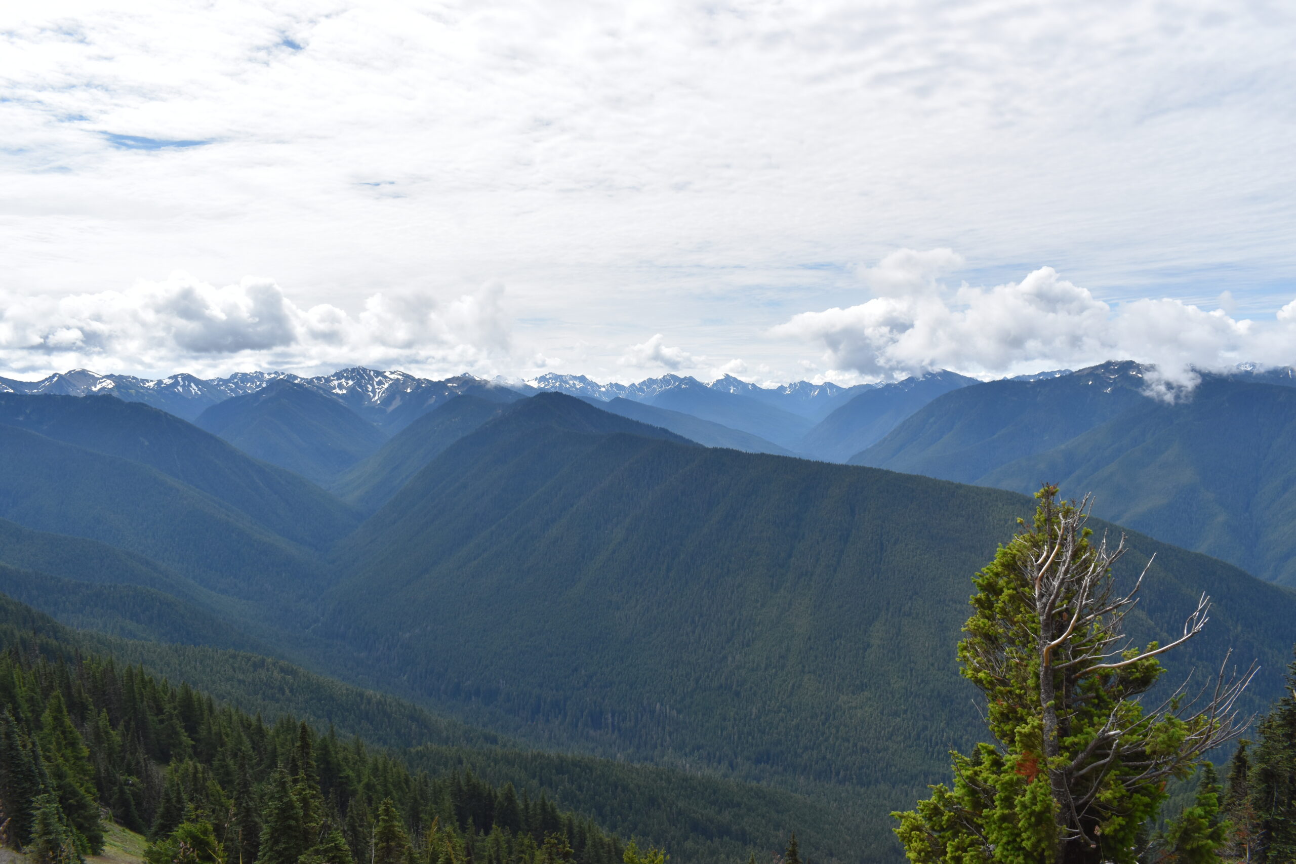 Seattle – Wandering Ottersons